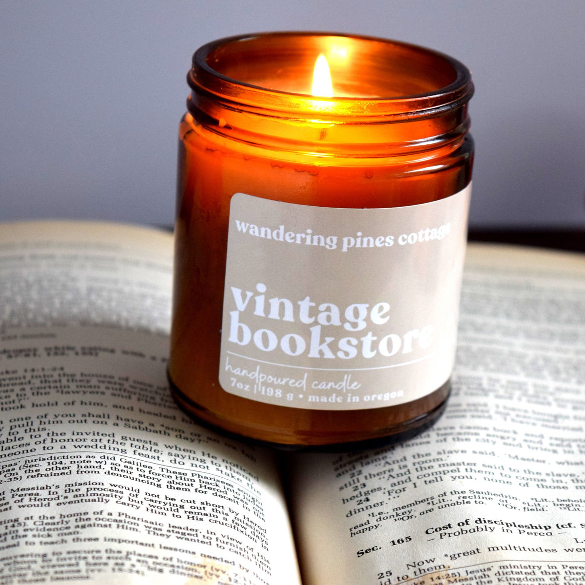Vintage Bookstore Candle – Wandering Pines Cottage